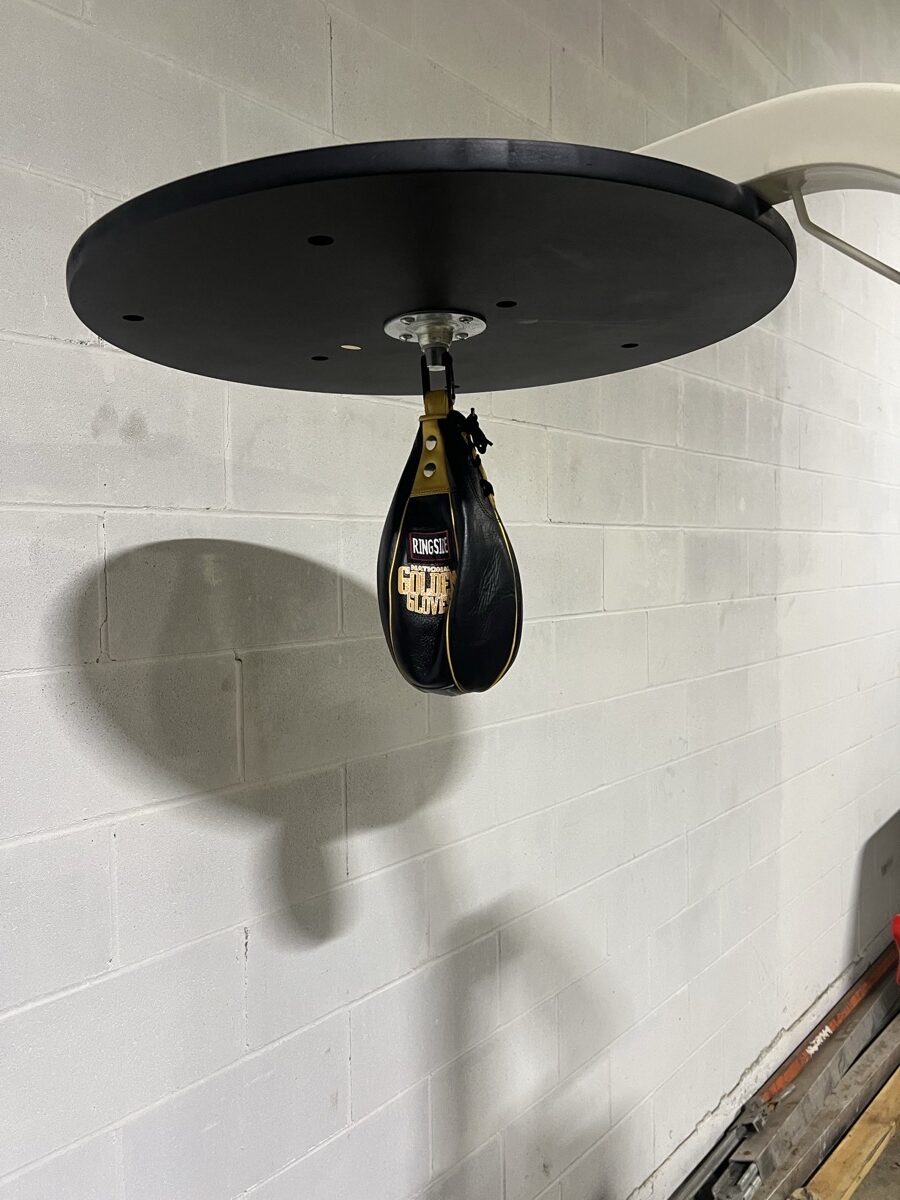Heavy Bag Dual Station – Includes Heavy Bag and Speed Bag